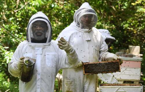 The minister with a passion for bees - The Royal Gazette | Bermuda News ...