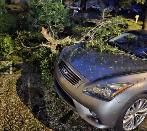 Relief as Bermudians in Florida see off Hurricane Milton - The Royal ...