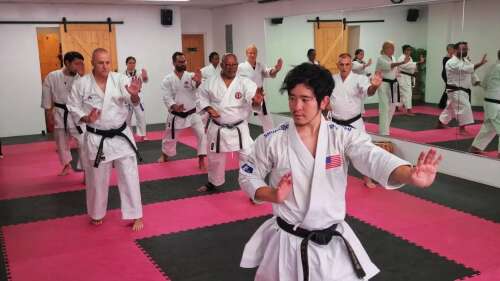 Karate community benefits from teaching of Team USA medal winner - The ...