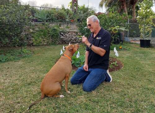Invisible Fence business for sale as retirement beckons - The Royal ...