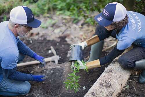 UK grants available for local conservation projects - The Royal Gazette ...