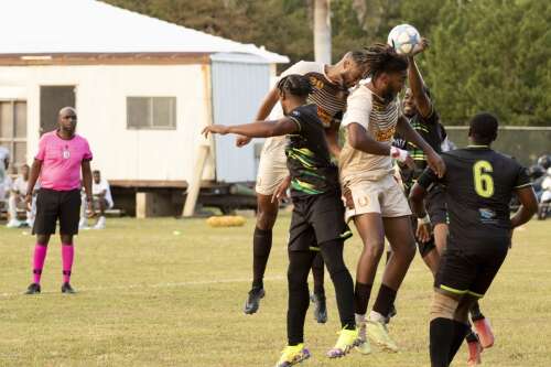 Substitute Jahzardae Samuels makes difference as Dandy Town fight back ...